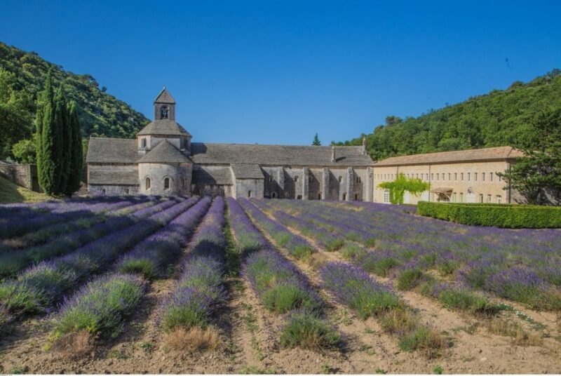 From Avignon: Half-Day Baux de Provence and Luberon Tour - Final Thoughts