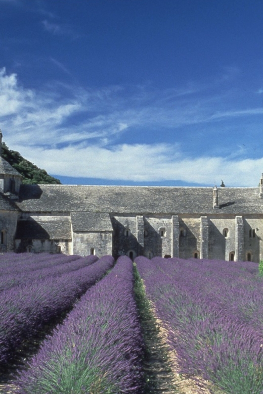 From Avignon: Half-Day Hilltop Villages of Luberon - What To Expect During the Tour