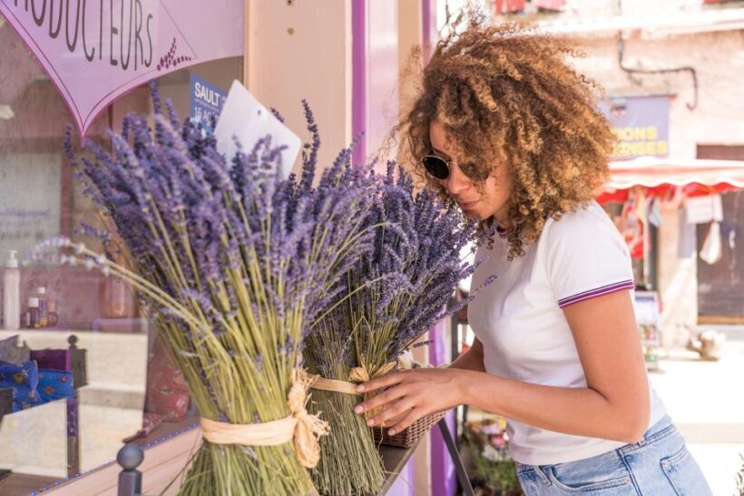 From Avignon: Half-Day Lavender Tour of Luberon - Who Should Take This Tour?