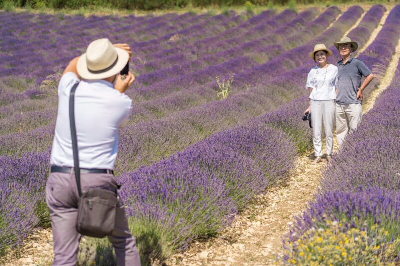 From Avignon: Half Day Lavender Tour to Sault - FAQ