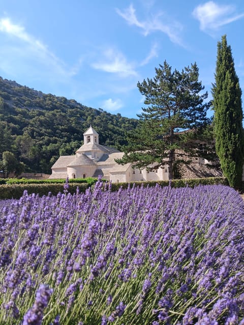 From Avignon: Lavender Villages Full-Day Tour - Key Points
