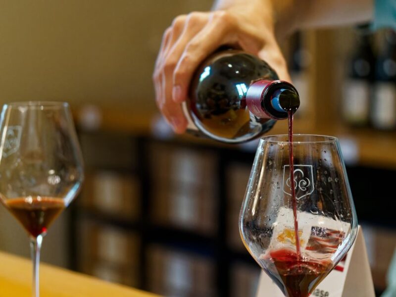 From Avignon: Luberon and Chateauneuf-du-Pape Full-Day Tour - Transportation and Group Dynamics