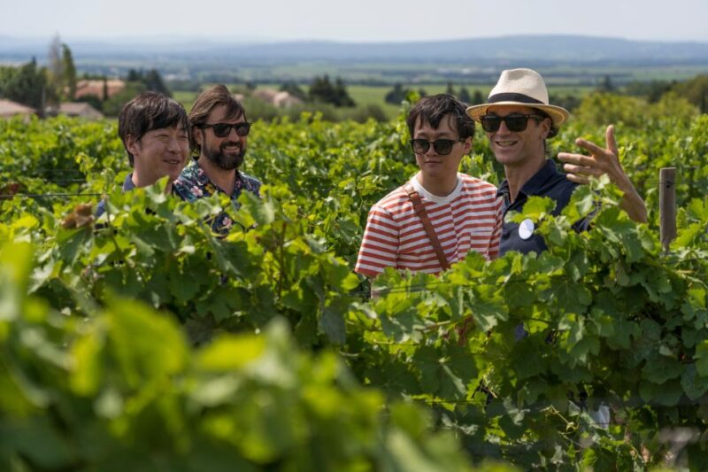 From Avignon: Luberon and Chateauneuf-du-Pape Full-Day Tour - Authenticity and Local Flavor