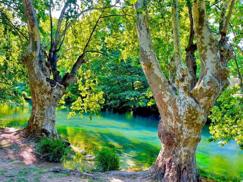 From Avignon: Provence Highlights Full-Day Tour - The Itinerary: What You’ll Experience