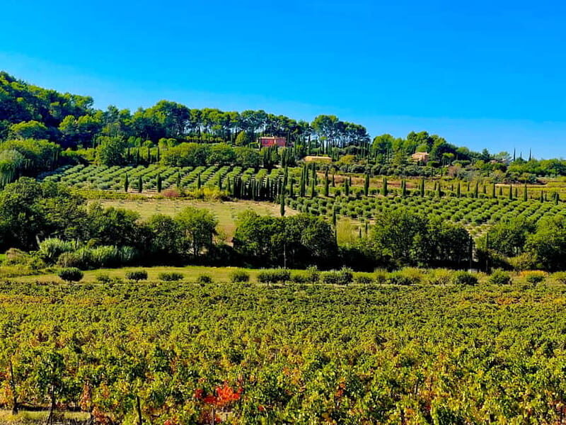 From Avignon: Provence Highlights Full-Day Tour - Practical Considerations