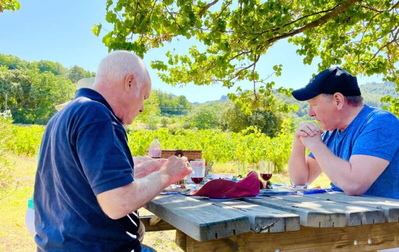 From Avignon: Roman Tour to Pont du Gard, Nîmes & Orange - Key Points