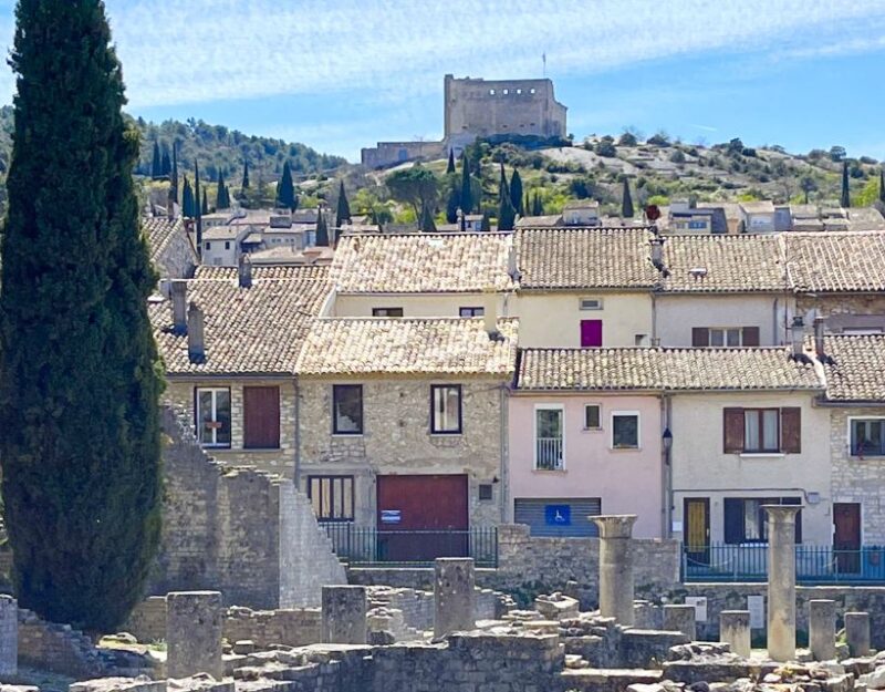 From Avignon: Roman Tour to Pont du Gard, Nîmes & Orange - Who Should Book This Tour?