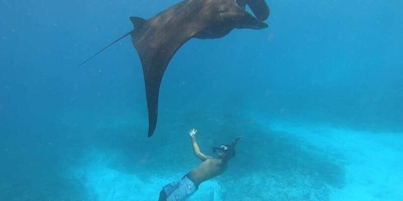 From Bali: 2-Day Nusa Penida East & West and Nusa Lembongan - Day 1: Exploring Nusa Penida’s Coastal Wonders