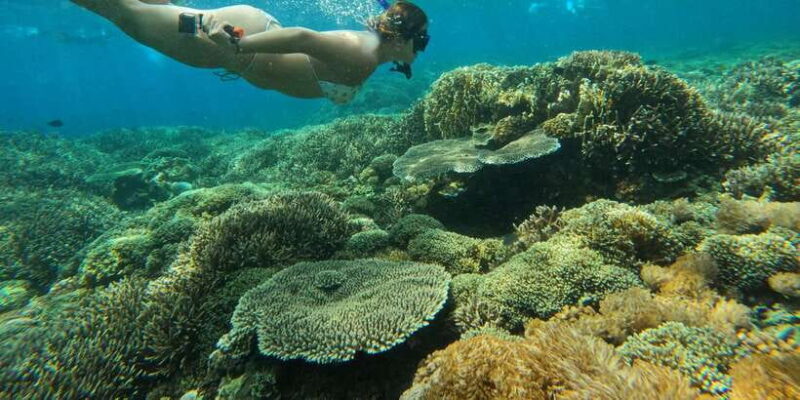 From Bali: 2-Day Nusa Penida East & West and Nusa Lembongan - The Experience and Value