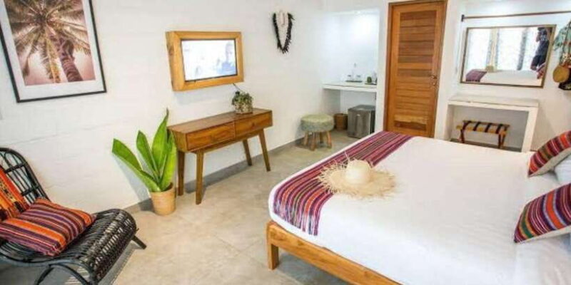 From Bali: 2-Day Private Gili Island Snorkel Tour with Hotel - Who Will Love This Tour?