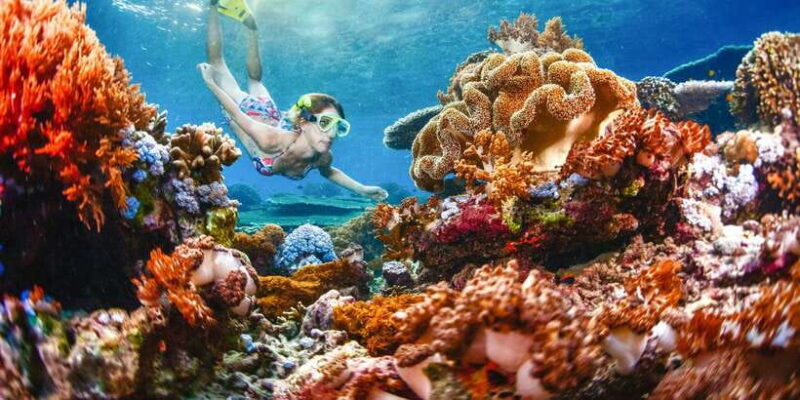 From Bali: 3 Snorkeling Spots Tour to Lembongan and Penida - Key Points