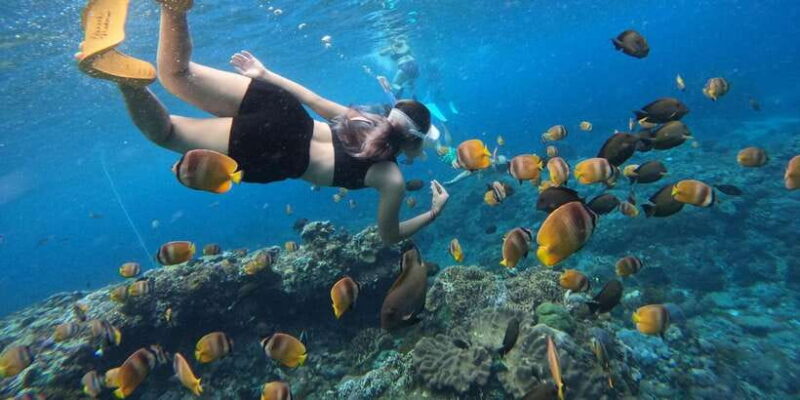 From Bali: 3 Snorkeling Spots Tour to Lembongan and Penida - Why You’ll Love This Tour