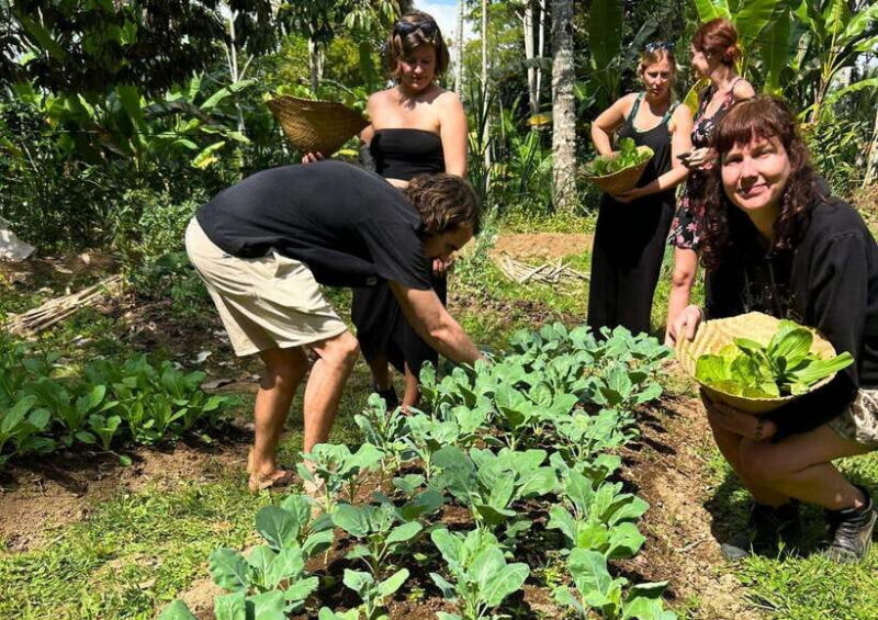 From Bali: Cooking Class at Ubud Organic Farm - Final Thoughts