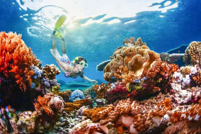 From Bali: Half Day Snorkeling 3 Spots to Lembongan & Penida - What Makes This Tour Stand Out?