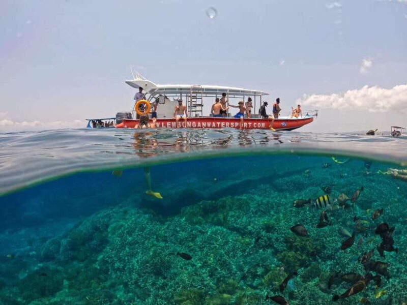 From Bali: Half Day Snorkeling 3 Spots to Lembongan & Penida - The Itinerary in Detail