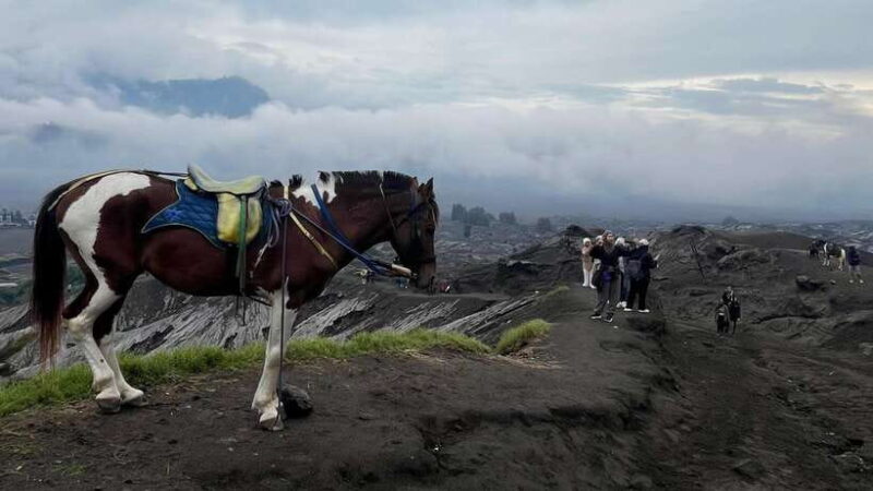 From Bali: Inclusive 3-Day Bromo & Ijen volcano trip - Is This Tour Worth the Price?