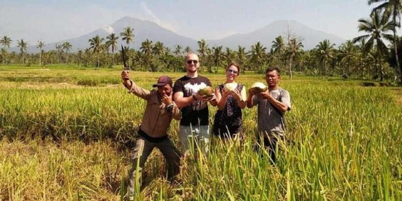 From Bali : Kawah Ijen Mt.Bromo With Local Experiences - Day 2: Ijen Crater and the Blue Fire