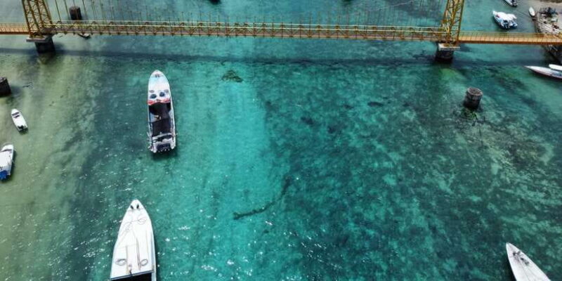 From Bali: Lembongan and Devil's Tears Buggy Tour with Lunch - The Sum Up