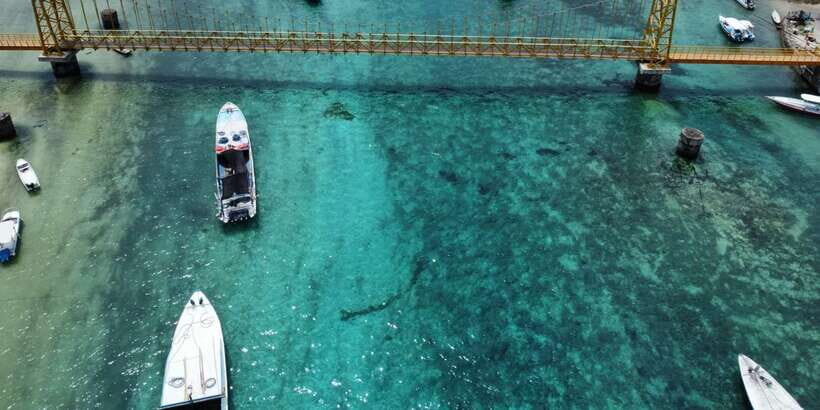 From Bali: Lembongan & Mangrove Buggy Tour with Buffet Lunch - The Sum Up: Who Should Consider This Tour?