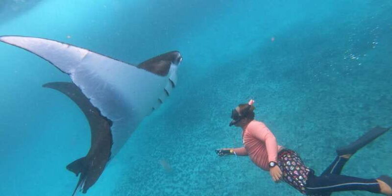 From Bali: Lembongan & Penida 2-Day Tour with Snorkeling - Key Points