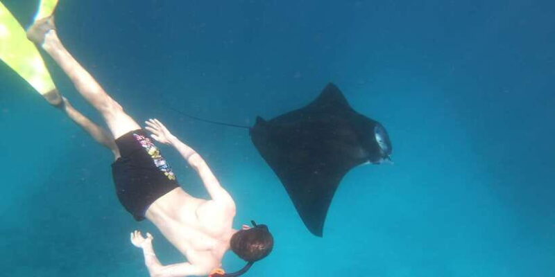 From Bali: Lembongan & Penida 2-Day Tour with Snorkeling - What Do Reviews Say?