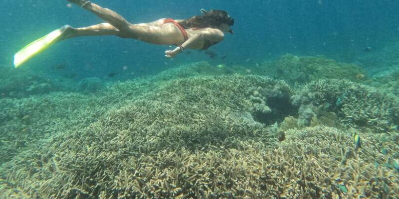 From Bali: Lembongan & Penida 2-Day Tour with Snorkeling - Practical Tips for Travelers