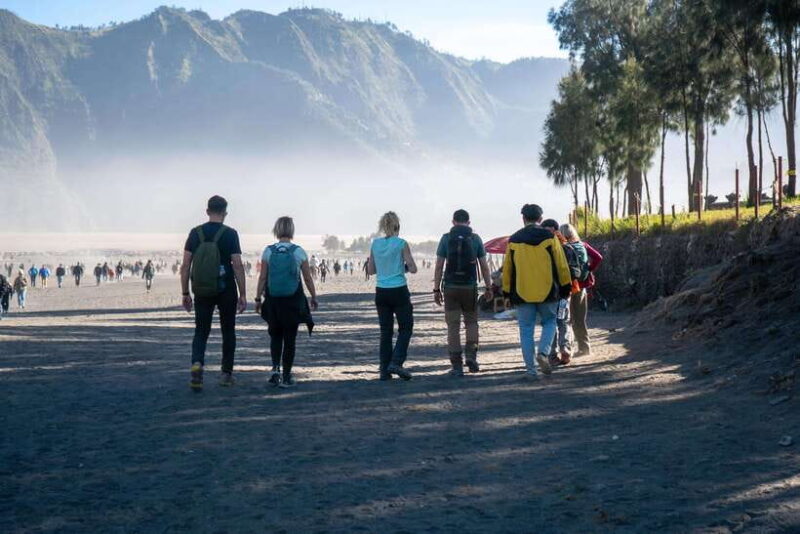 From Bali : Mount Bromo Sunset English Shared Guide Tour - A Closer Look at the Itinerary