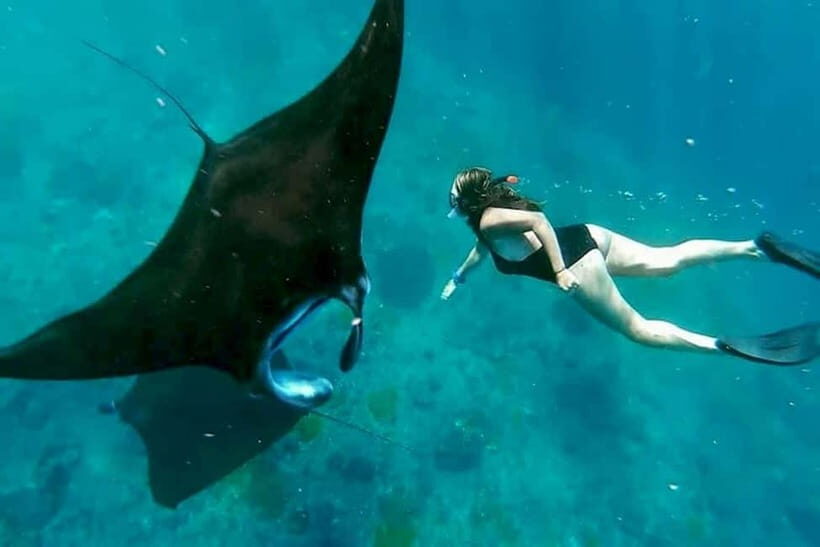 From Bali: Nusa Penida 3 Spots Snorkeling Tour With Guide - Key Points