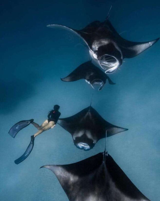 From Bali: Nusa Penida Day Tour & Snorkeling - Key Points