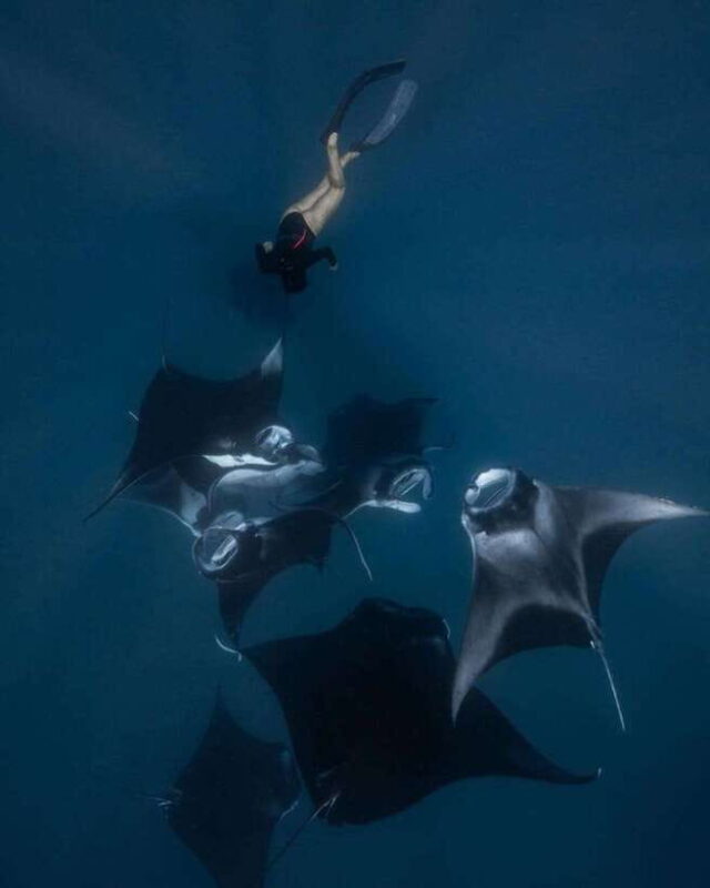 From Bali: Nusa Penida Day Tour & Snorkeling - Landmarks and Scenic Highlights