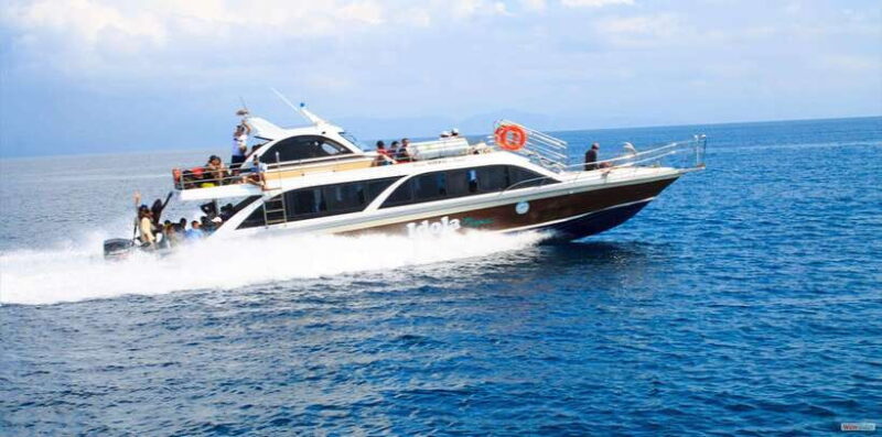 From Bali: Nusa Penida Full Day Private Snorkeling Tour - What Set This Tour Apart