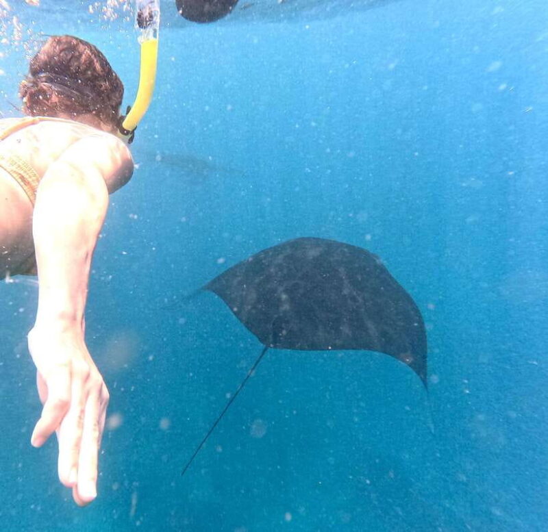 From Bali: Nusa Penida Full Day Tour and Snorkeling 3 Spots - Exploring Nusa Penida from Bali: A Complete Review of the Full-Day Tour and Snorkeling Experience