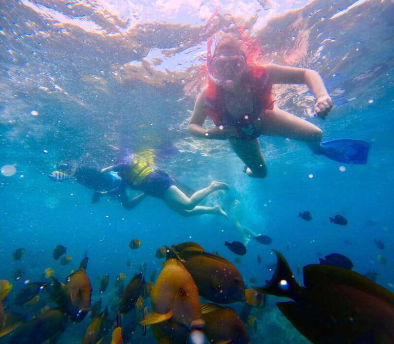 From Bali: Nusa Penida Full Day Tour and Snorkeling 3 Spots - Why Travelers Love It