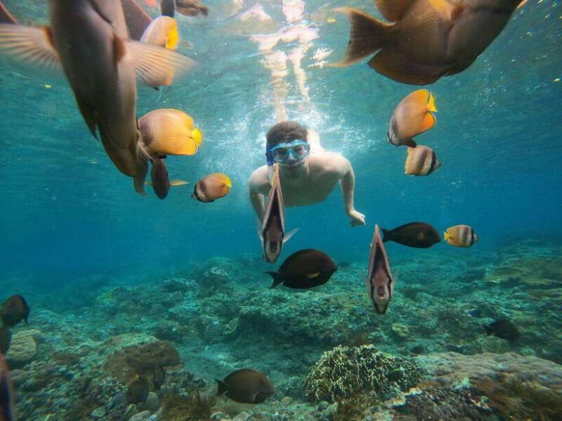 From Bali: Nusa Penida Full Day Tour and Snorkeling 3 Spots - What to Consider Before Booking