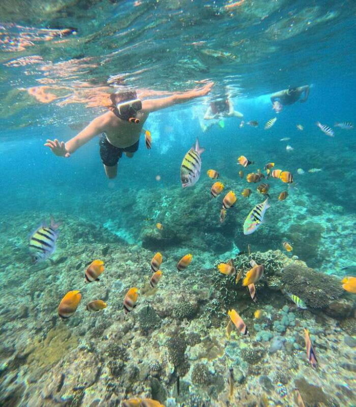 From Bali: Nusa Penida Full Day Tour and Snorkeling 3 Spots - Who Should Book This Tour?