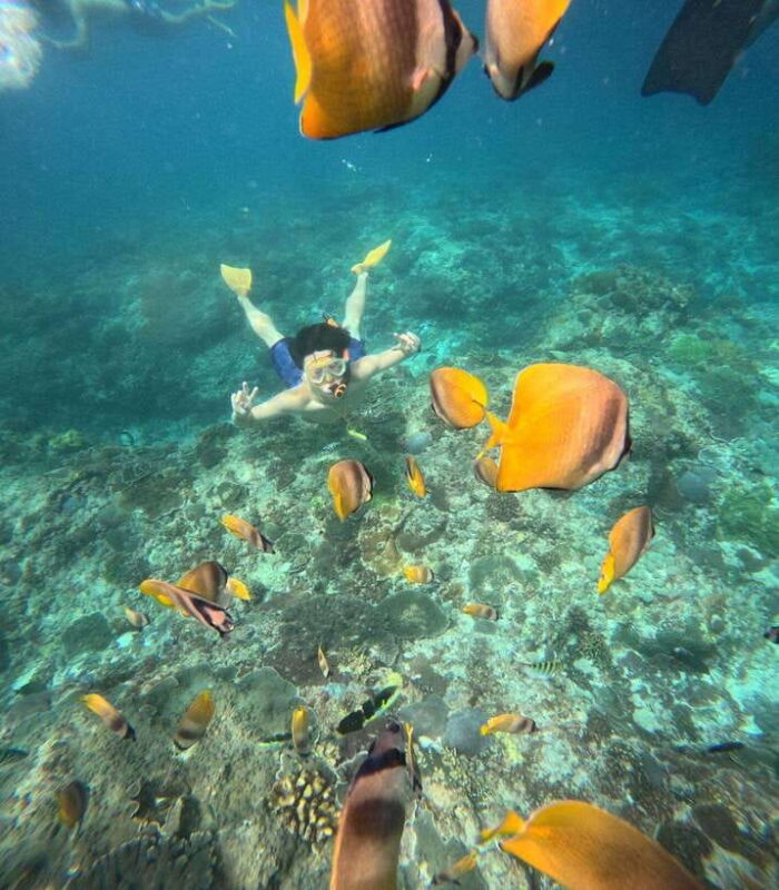 From Bali: Nusa Penida Full Day Tour and Snorkeling 3 Spots - FAQ