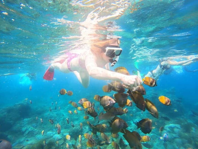 From Bali: Nusa Penida Private Snorkeling and Land Tour - Key Points