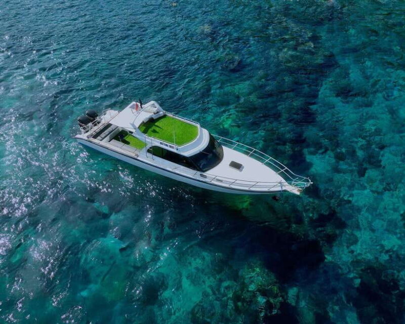 From Bali: Nusa Penida Private Snorkeling Tour with Lunch - Introduction: What Makes This Tour Stand Out?