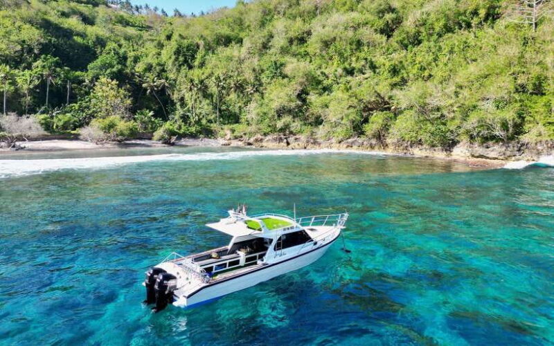 From Bali: Nusa Penida Private Snorkeling Tour with Lunch - Practical Details: What You Need to Know