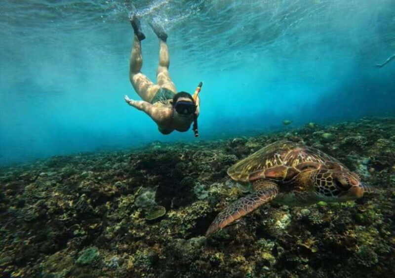 From Bali: Nusa Penida Snorkeling and West Coast Tour - Key Points