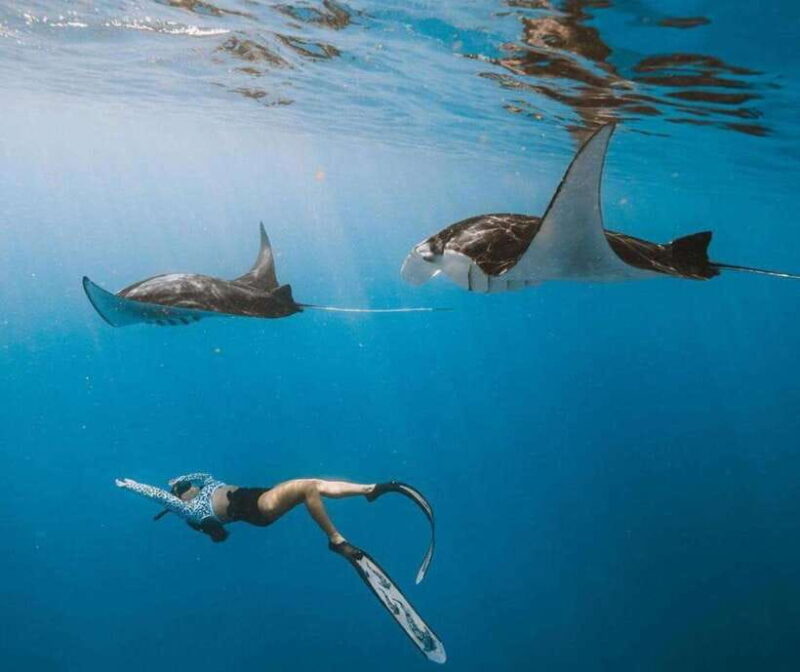 From Bali: Nusa Penida Snorkeling and West Coast Tour - Authentic Experiences and Authentic Feedback