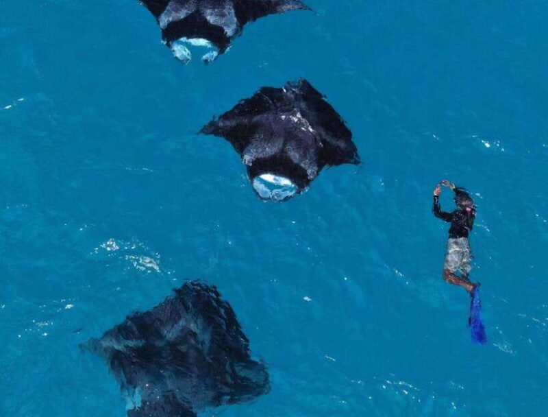 From Bali: Nusa Penida Snorkeling and West Coast Tour - Analyzing the Value