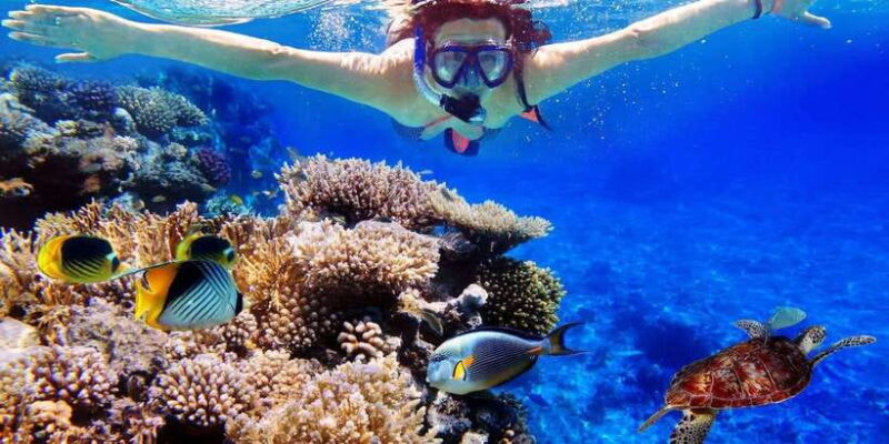 From Bali: Nusa Penida Snorkeling & Island Tour Special Trip - Analyzing the Value and What You Get