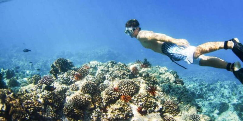 From Bali: Nusa Penida Snorkeling & Island Tour Special Trip - Authentic Encounters and Travel Tips