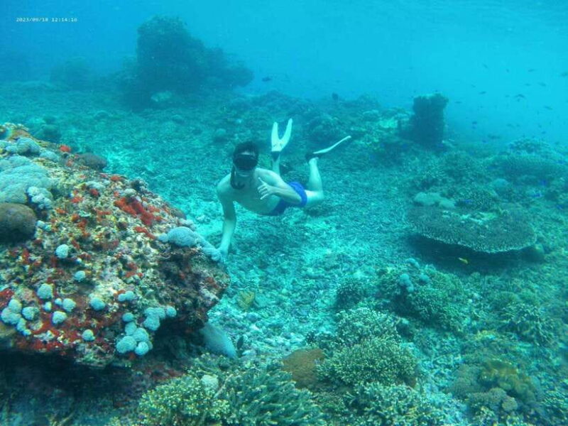 From Bali: Nusa Penida Tour with Private Snorkeling & Lunch - Who Should Consider This Tour?