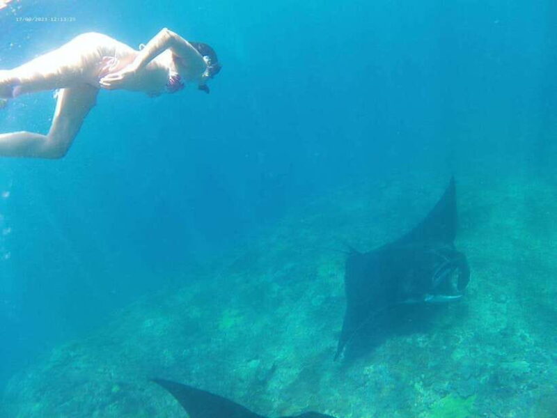 From Bali: Nusa Penida Tour with Private Snorkeling & Lunch - FAQ