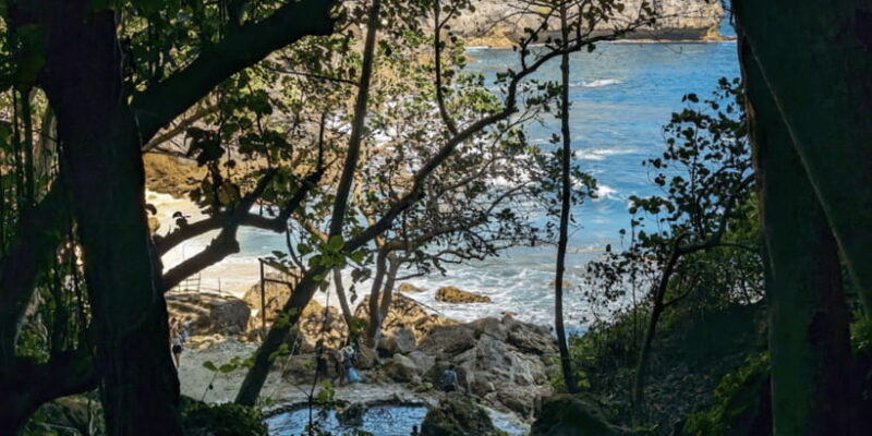 From Bali: One Day Hidden Spots Nusa Penida Island Tour - The Itinerary in Detail: What You’ll Experience