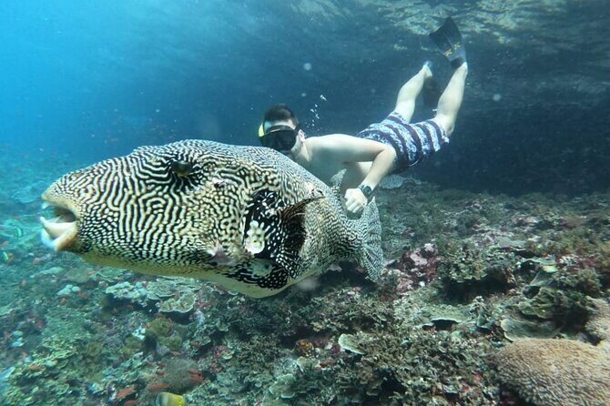 From Bali One Day Nusa Penida Tours with Manta Rays Snorkeling - An Honest Breakdown of the Itinerary