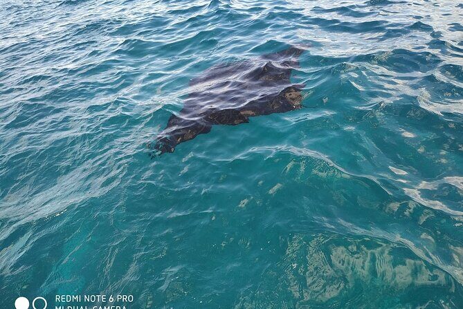 From Bali One Day Nusa Penida Tours with Manta Rays Snorkeling - Is This Tour Worth It?