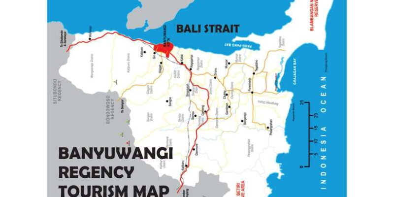 From Bali or Banyuwangi: Ijen Crater Sunrise Hike - The Value of This Tour